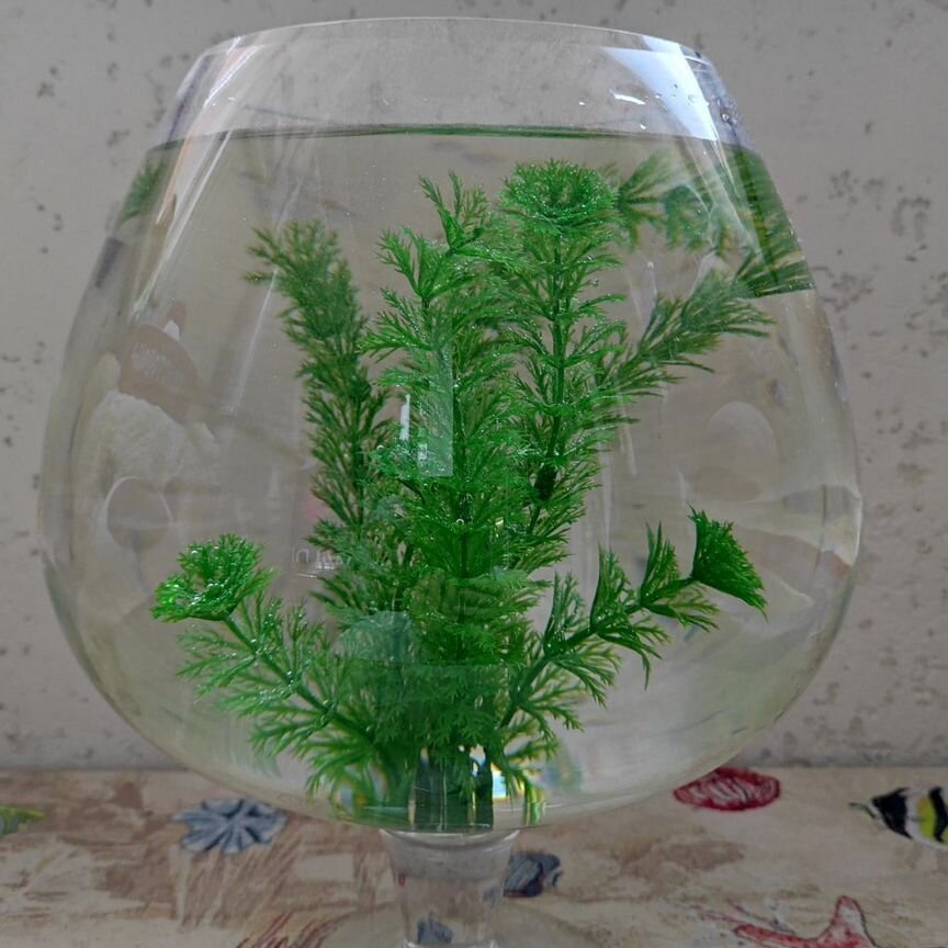 Аквариум на 7 литров