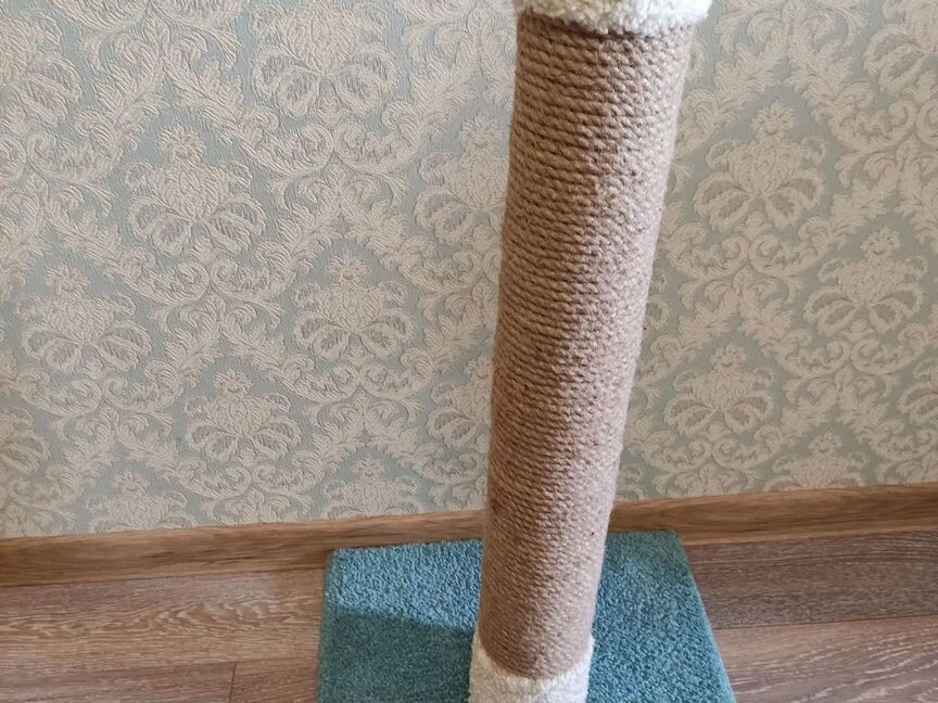 Когтеточка