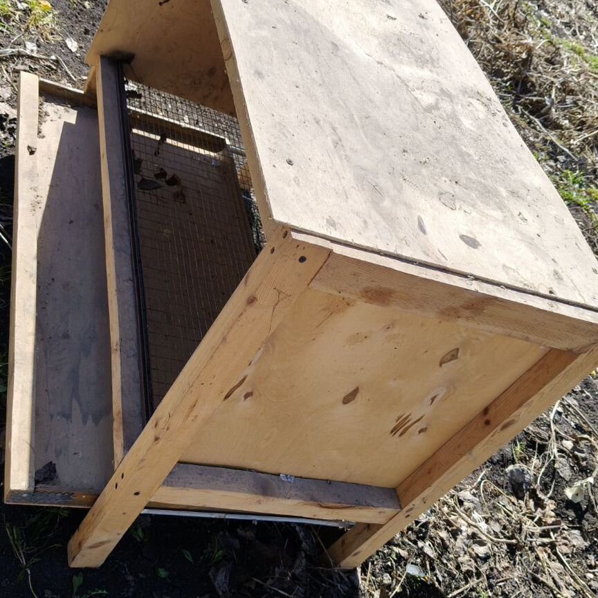 Брудер клетка для цыплят