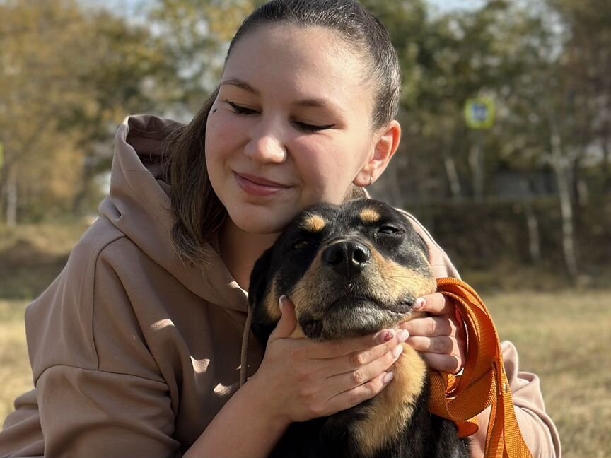 Добрый приютский пес, которого никто не замечает
