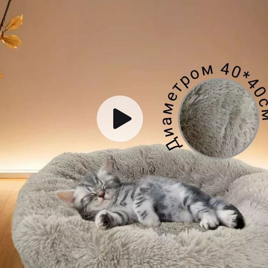 Лежанка для котят