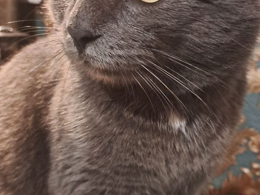 Нашли потеряшку