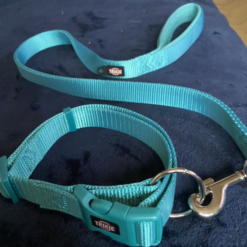 Ошейник с поводком