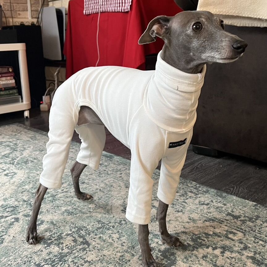 Одежда для левретки