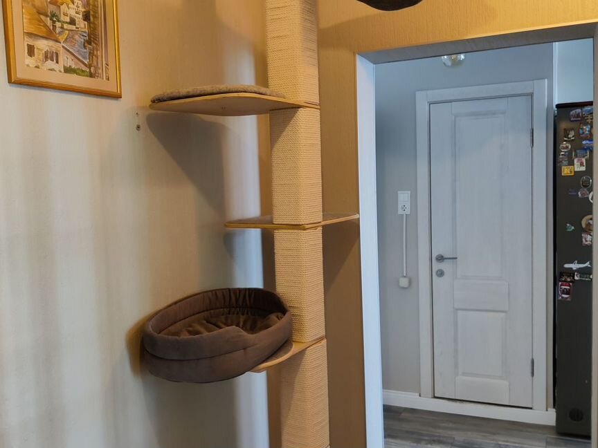 Когтеточка для кошек деревце