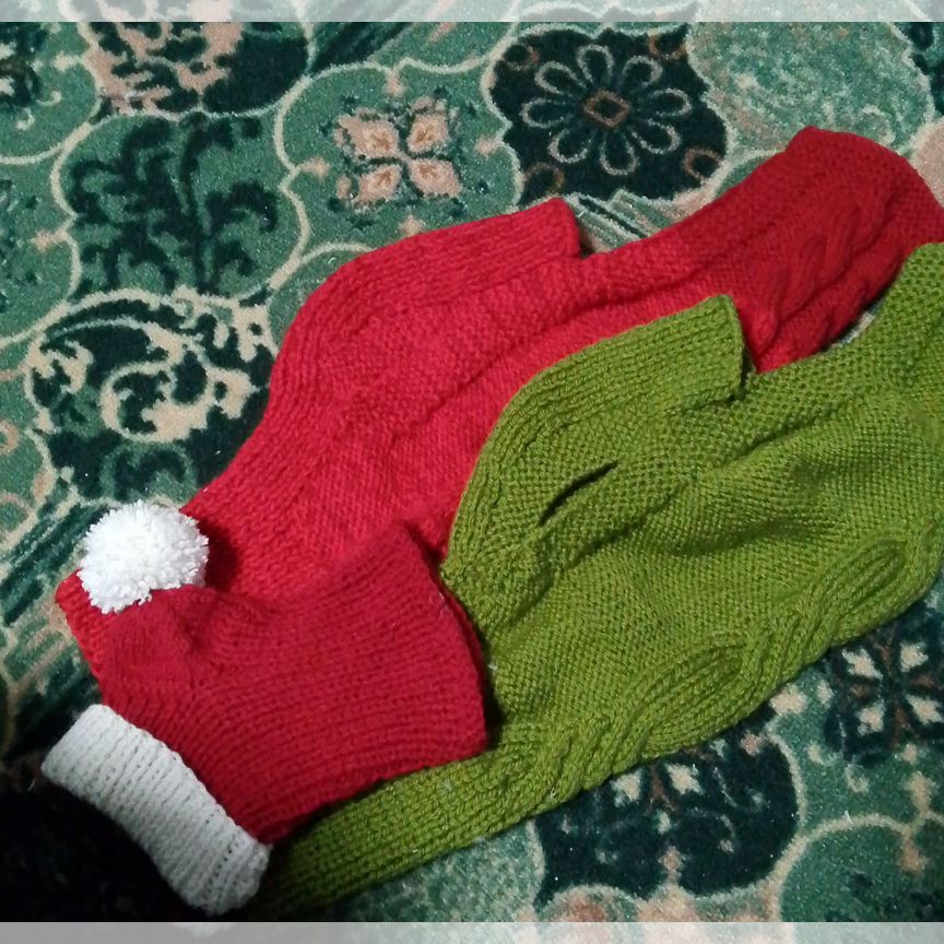 Одежда для собак уиппетов