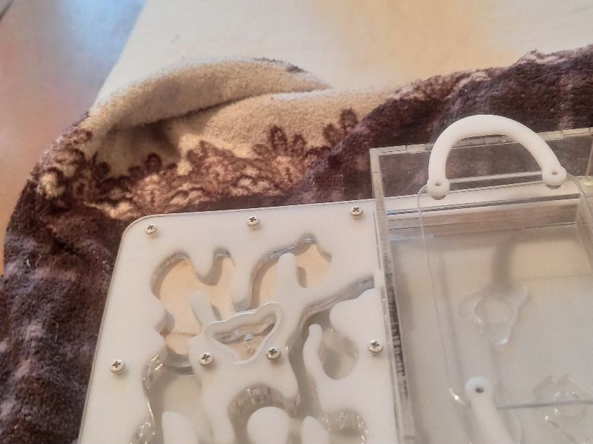 Формикарий, муравьиная ферма