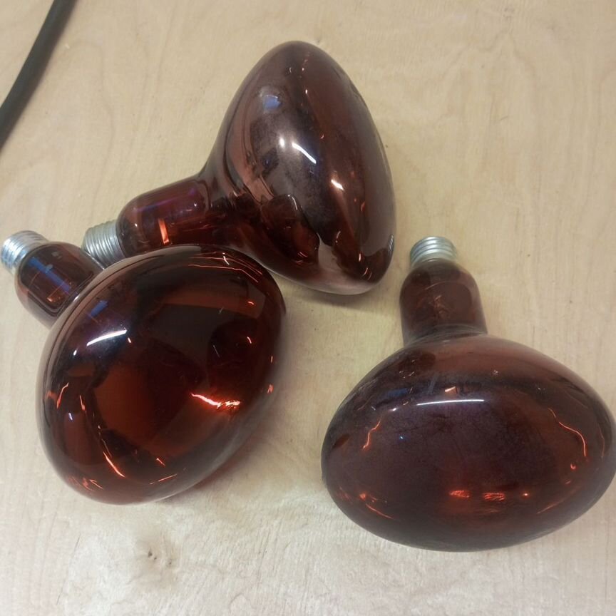 Греющая лампа для животных