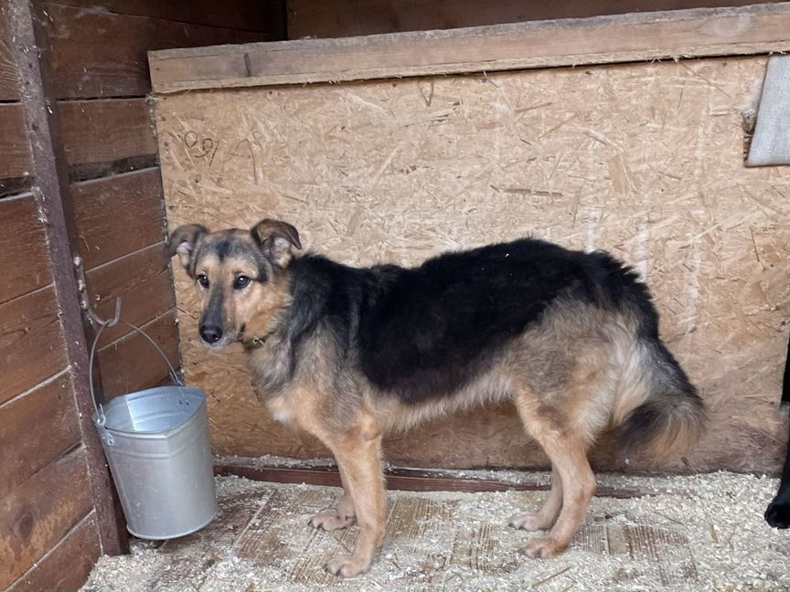 Тяжелая жизнь девочки в приюте