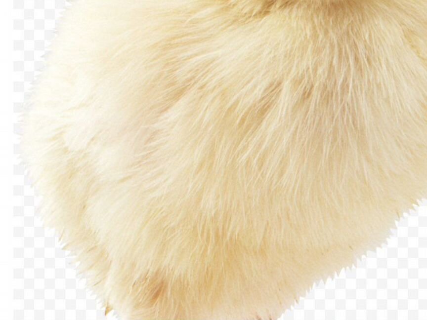 Мясо для животных