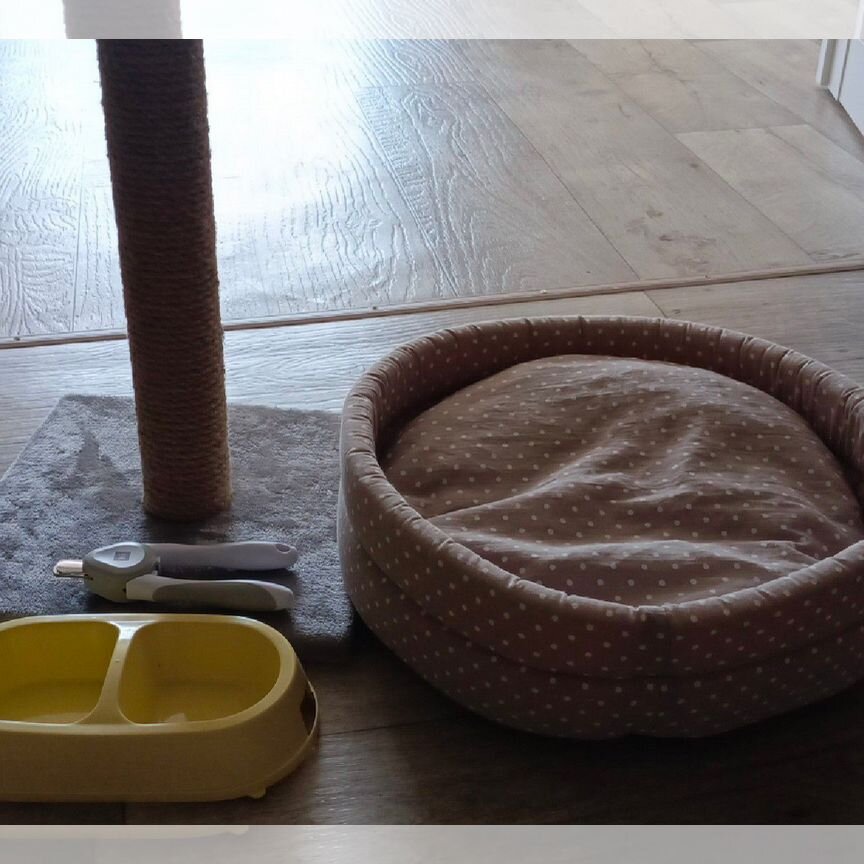 Аксессуары для животных