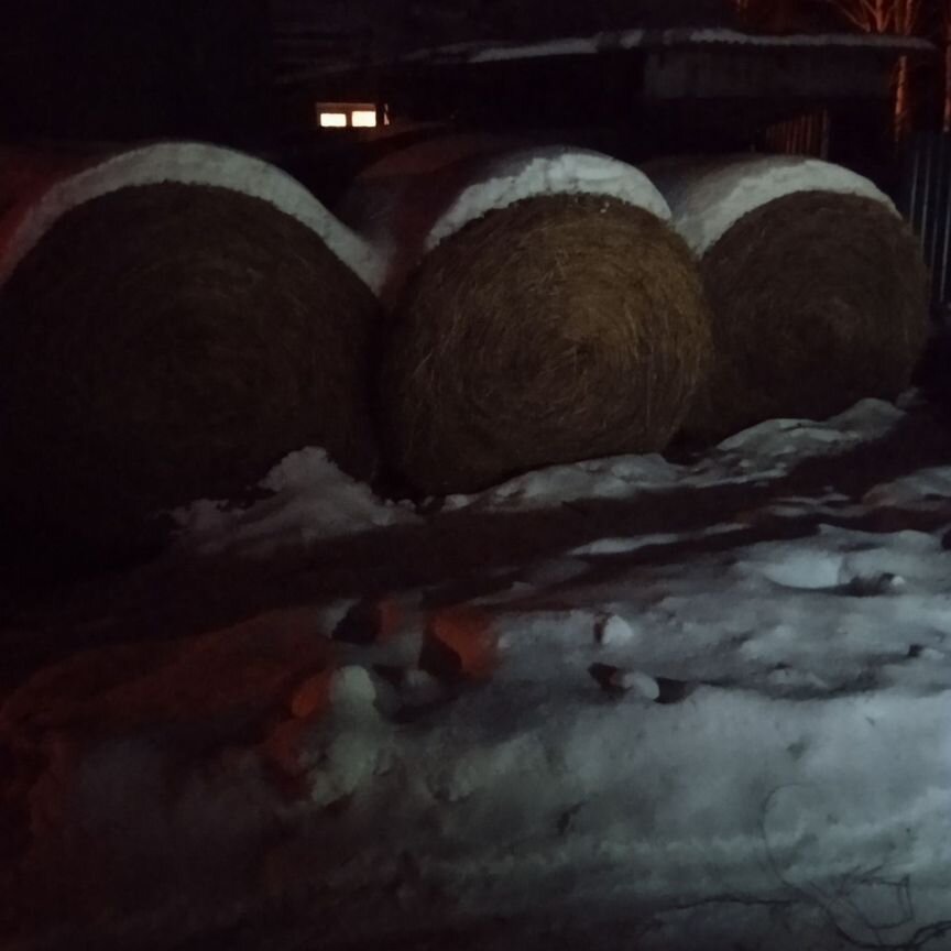 Продам сено в рулонах