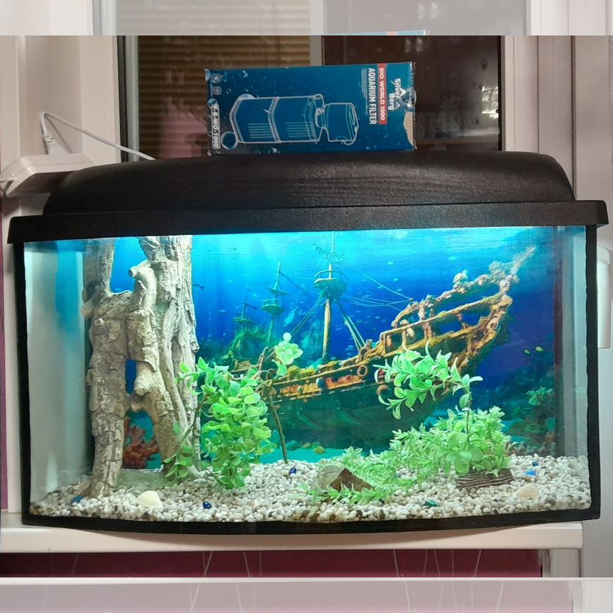 Аквариум