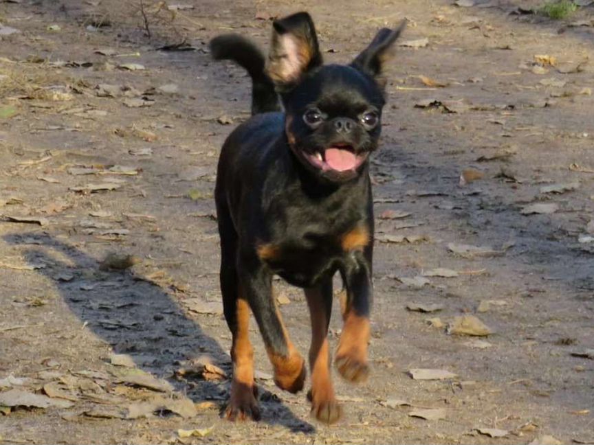 Брутальный мальчишка