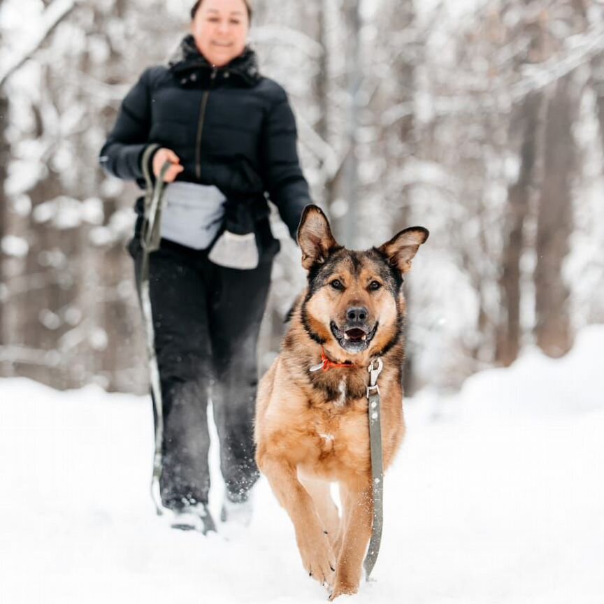 Прекрасный друг Брэдли