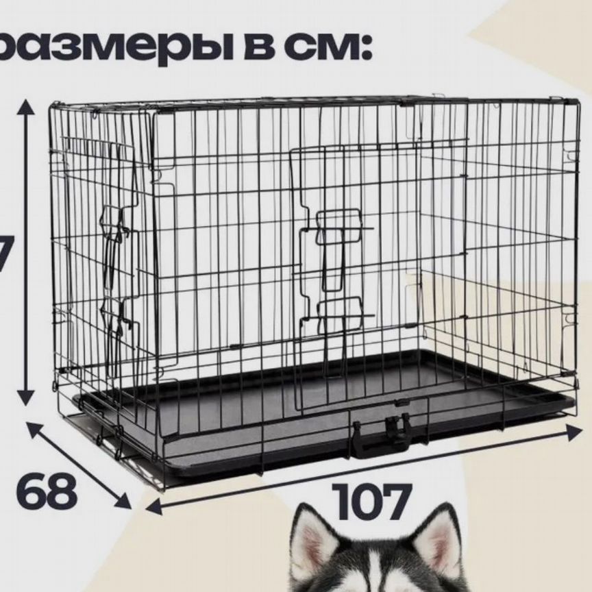 Продажа клеток