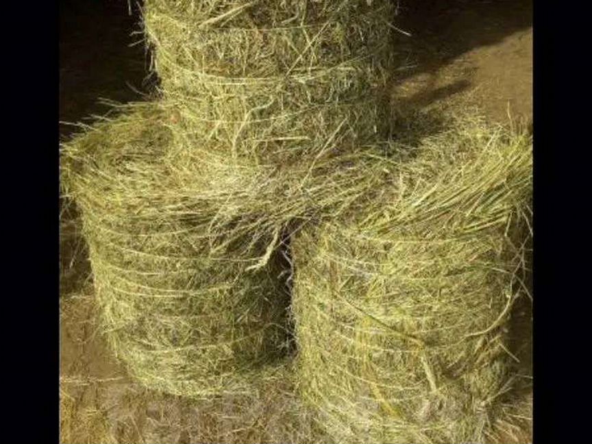 Продается сено с доставкой