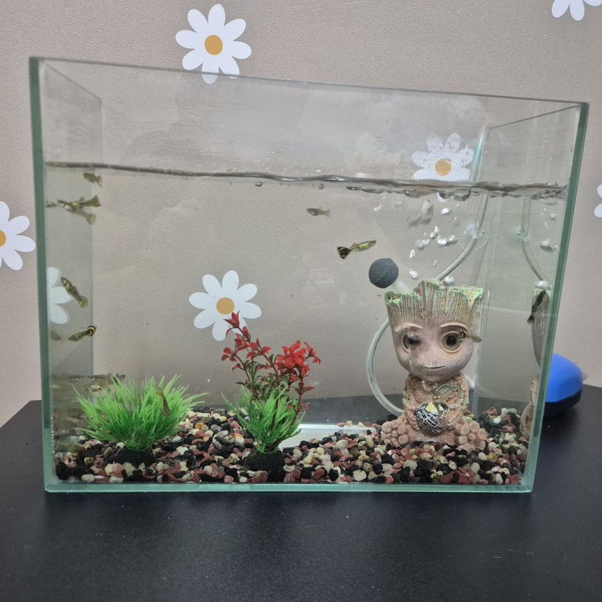 Аквариум с рыбкамм с фильтром с кислородом и корм