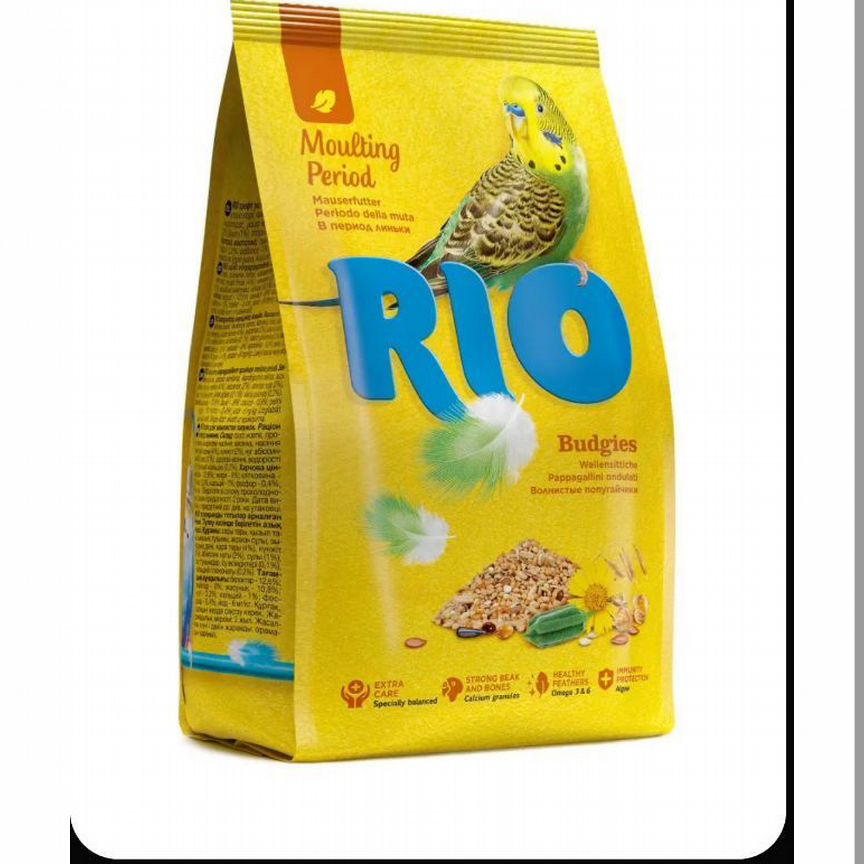 Волнистый попугай