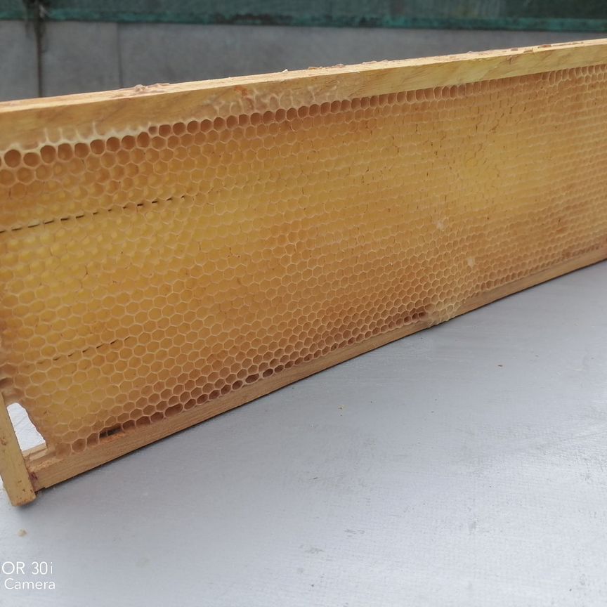 Сушь магазинная