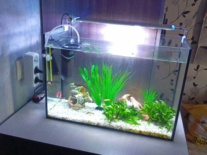 Аквариум с рыбками