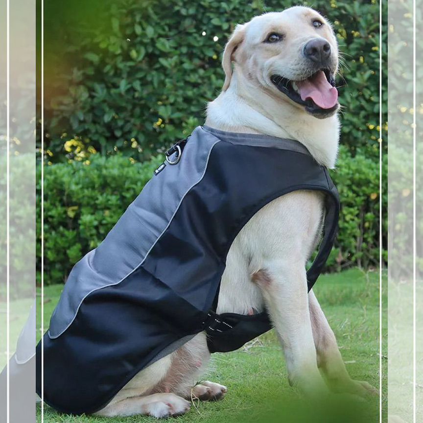 Жилет утепленный доя собак