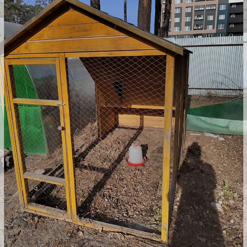 Курятник для кур