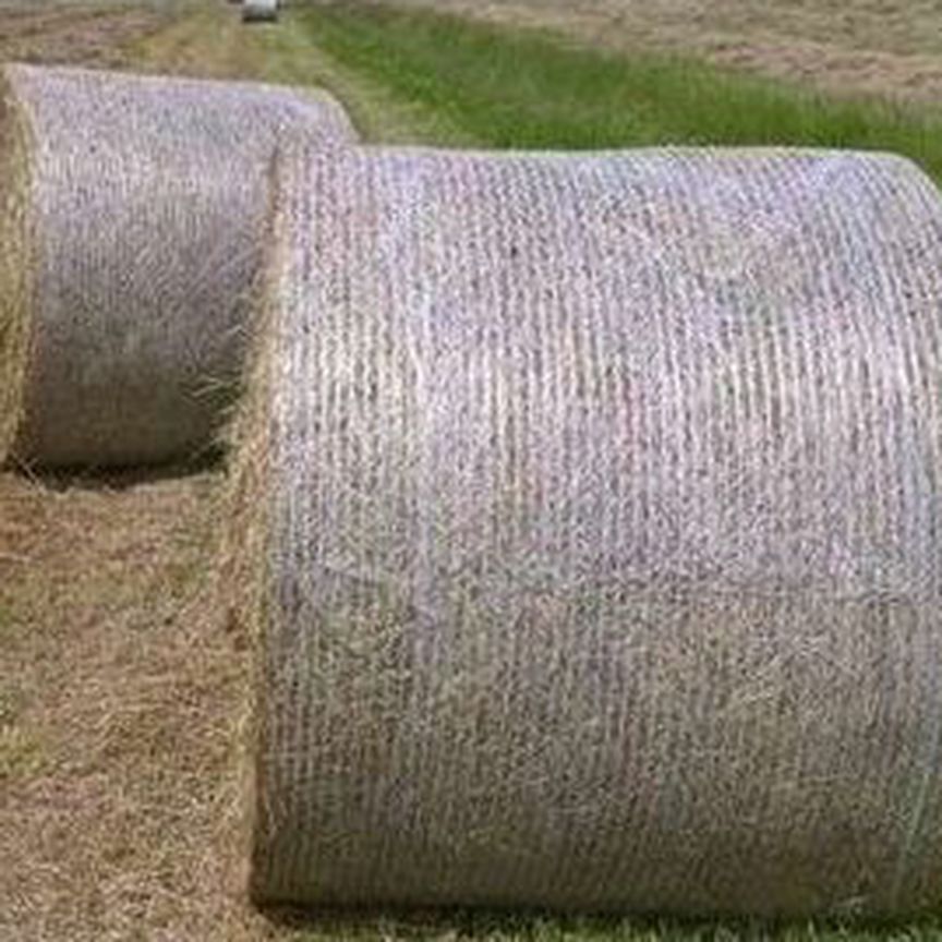 Сено в тюках