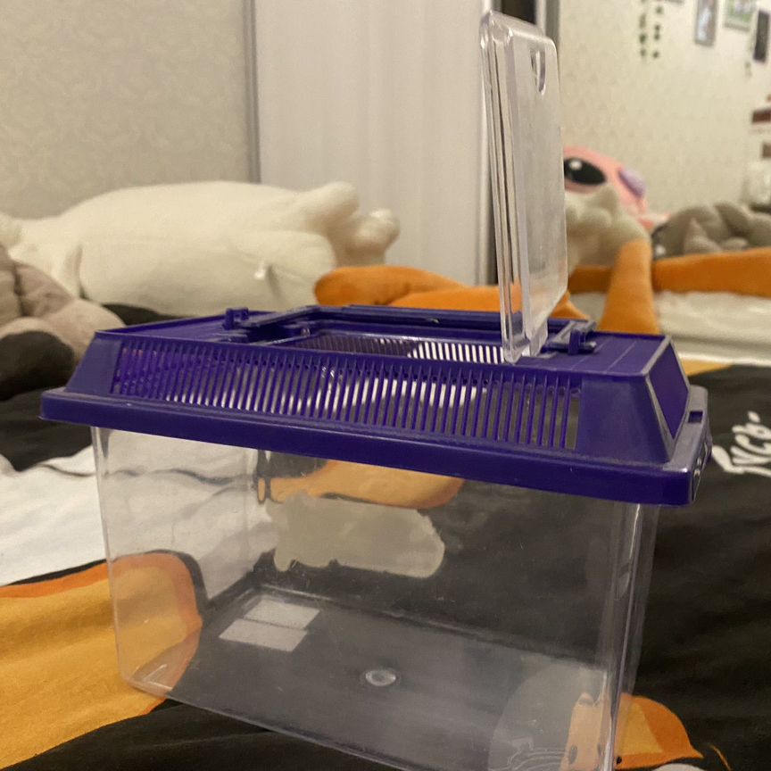 Контейнер-переноска для млекопитающих и насекомых