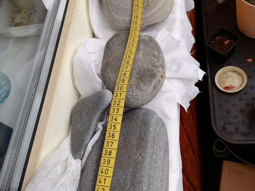 Камни для украшения террариума или аквариума