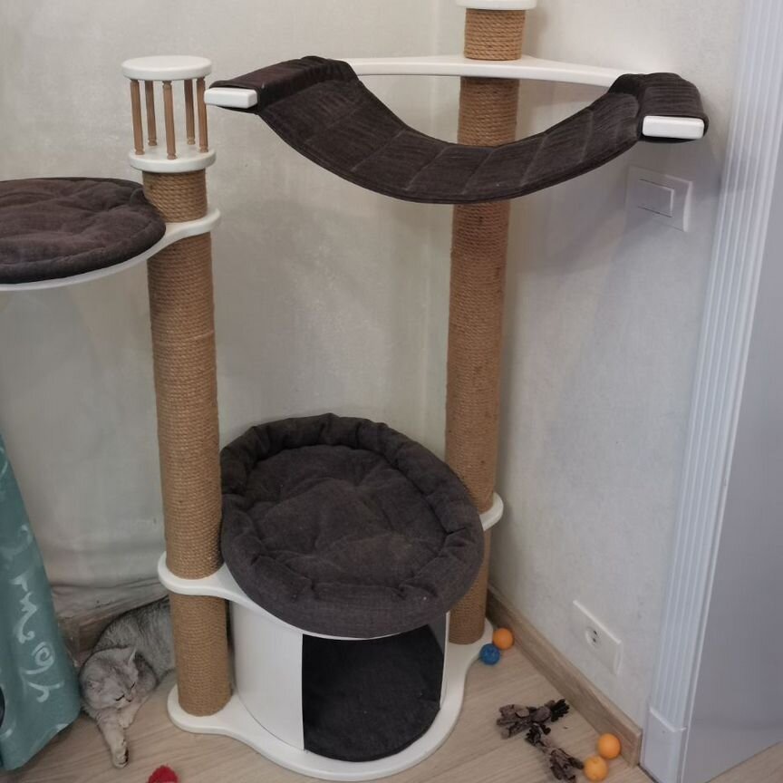 Комплекс для кошек