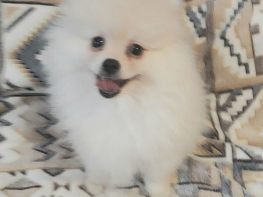 Весёлый малыш