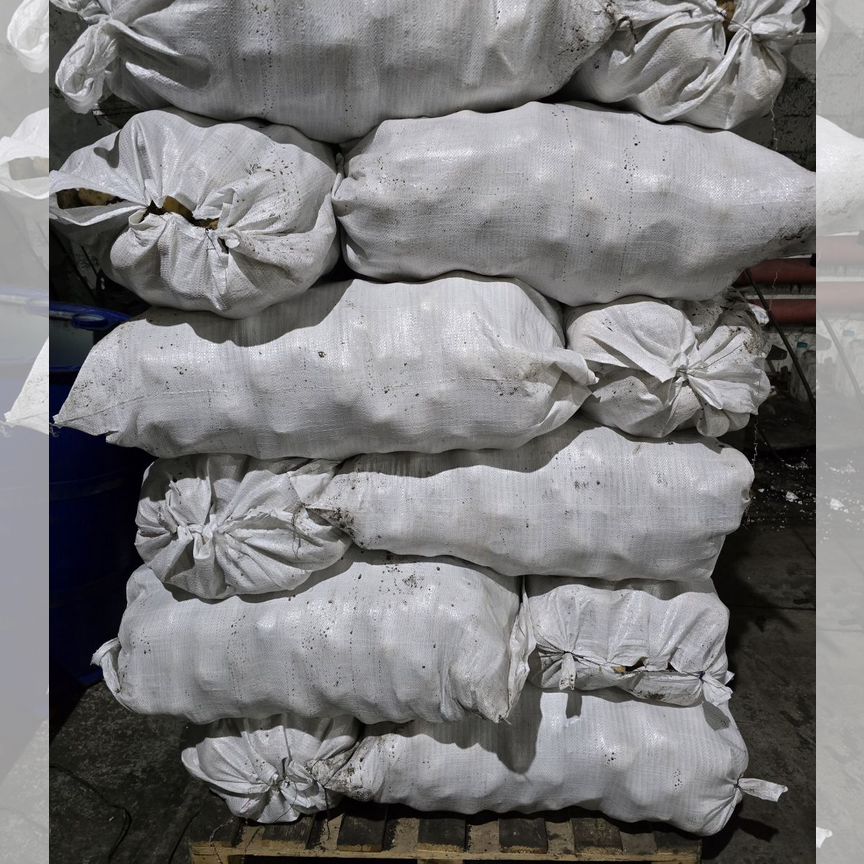 Картофель для корма животных крс