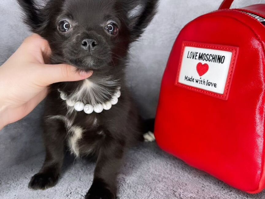 Чудесная Девочка