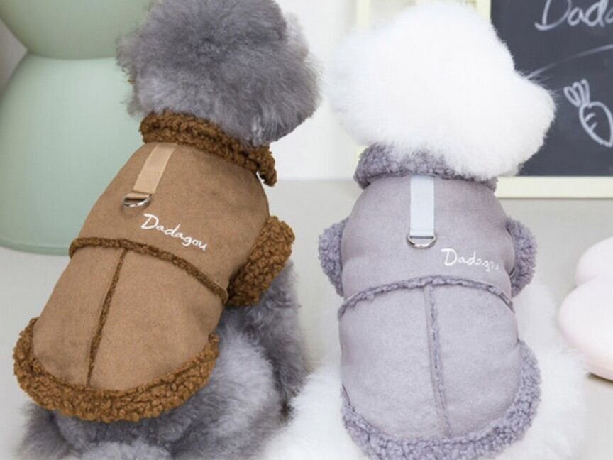 Одежда для собак