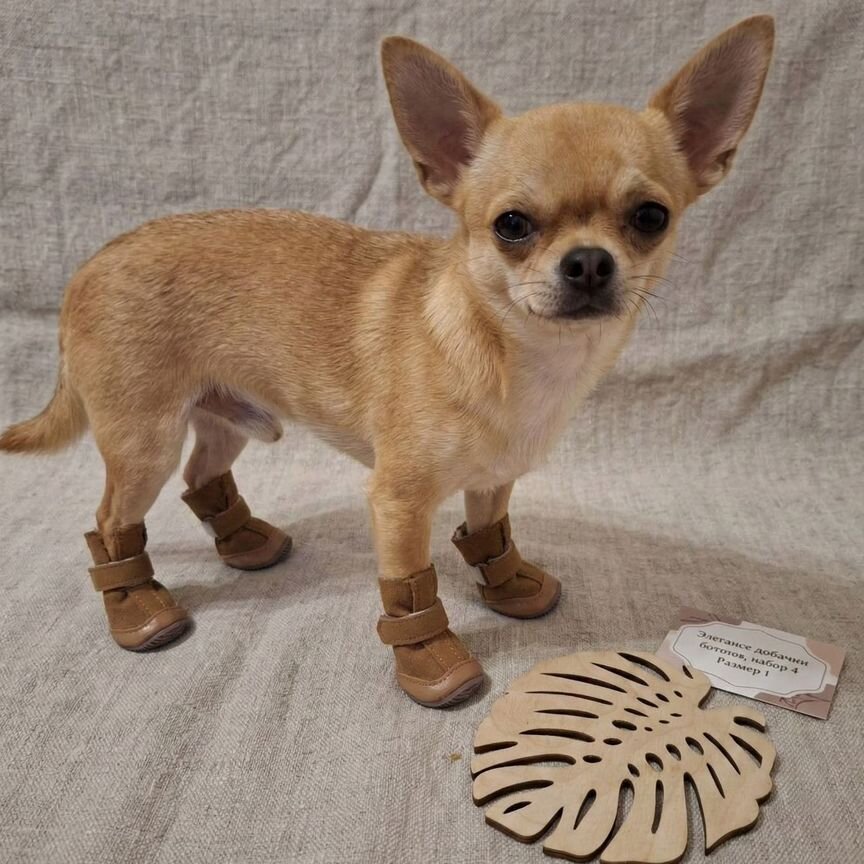 Ботинки для животных 4 шт размер 1