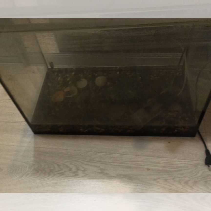 Аквариум. 55 литров