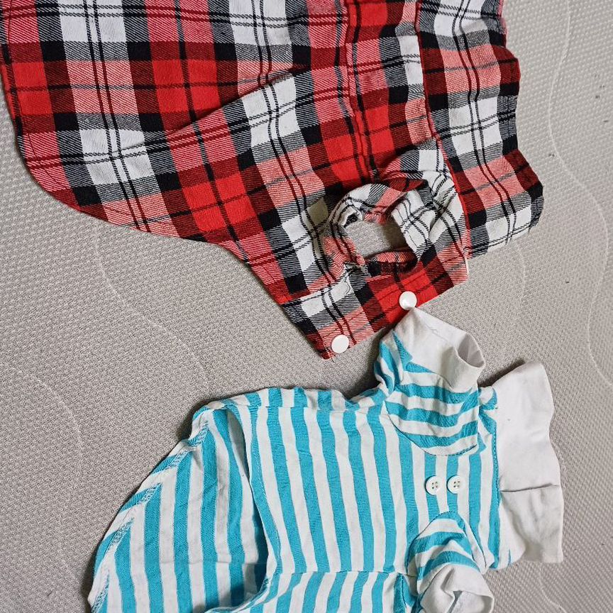 Вещи для кошки