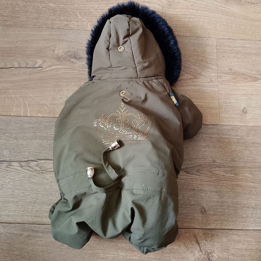 Одежда для собак