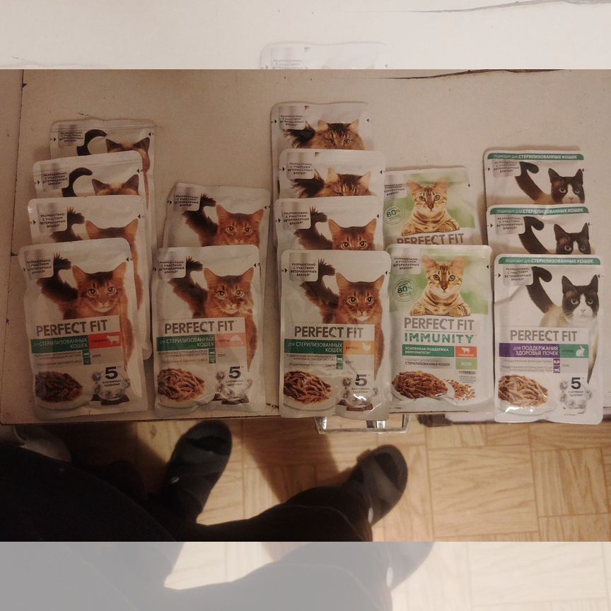 Влажный корм для кошек