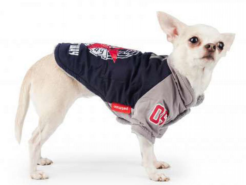 Одежда для собак
