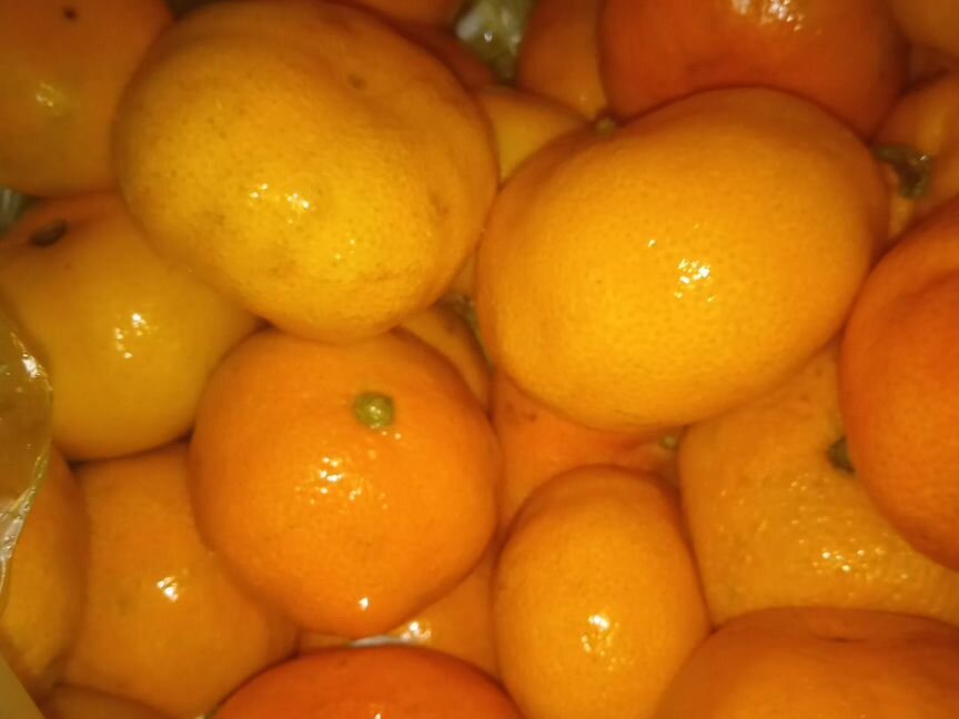 Продукты на корм животным/ продукты просрок