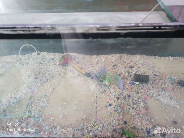 Аквариумы по 750 л