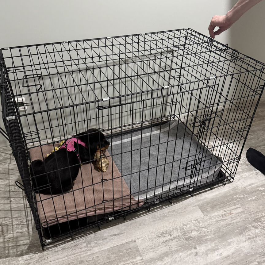 Клетка металлическая для собак