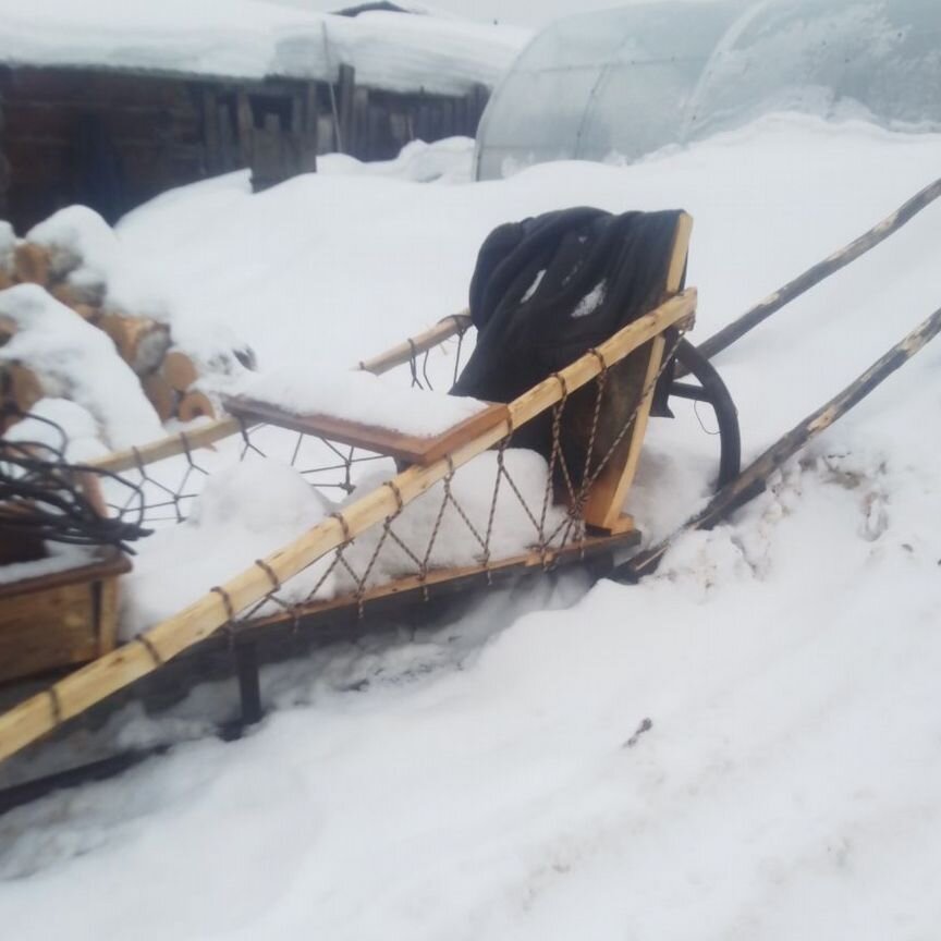 Продам конные сани