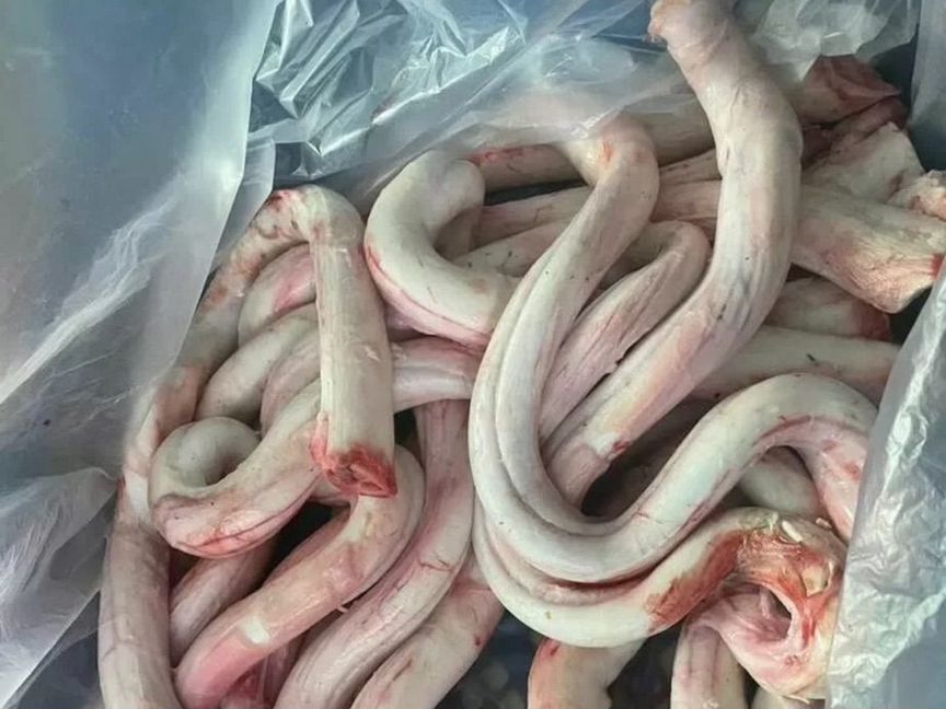 Бычий корень для собак