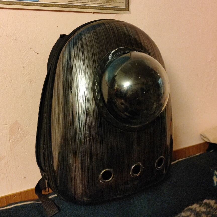 Переноска для кошек бу