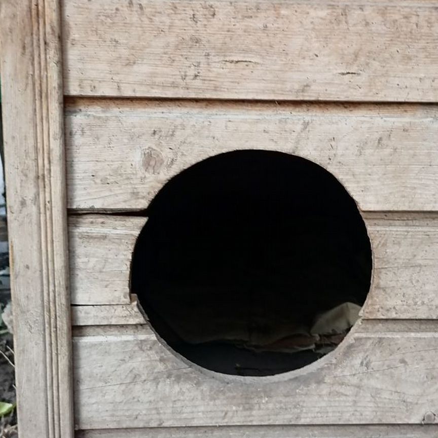 Продаётся кошачий или собачий дом