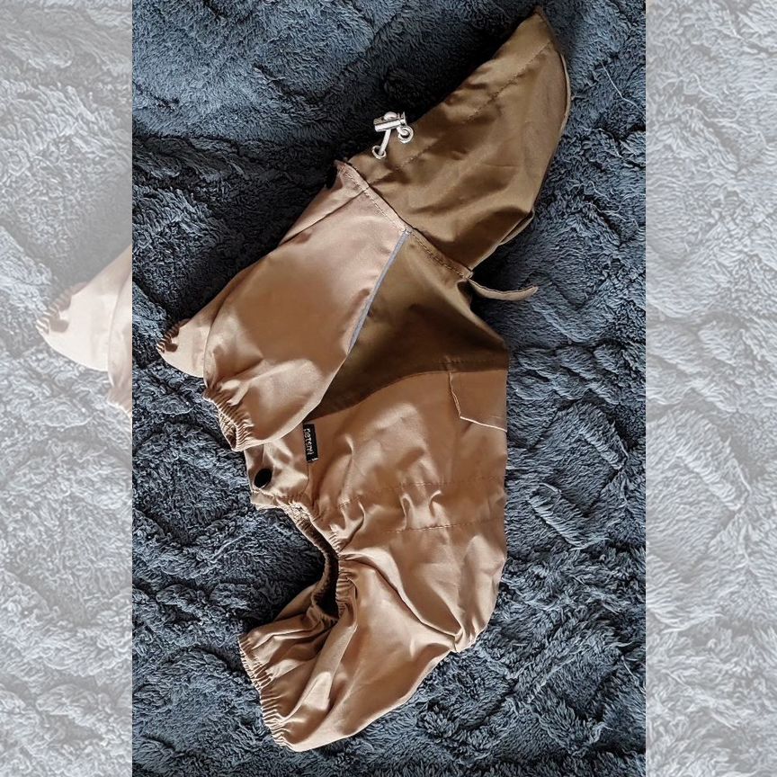 Вещи для маленьких собак