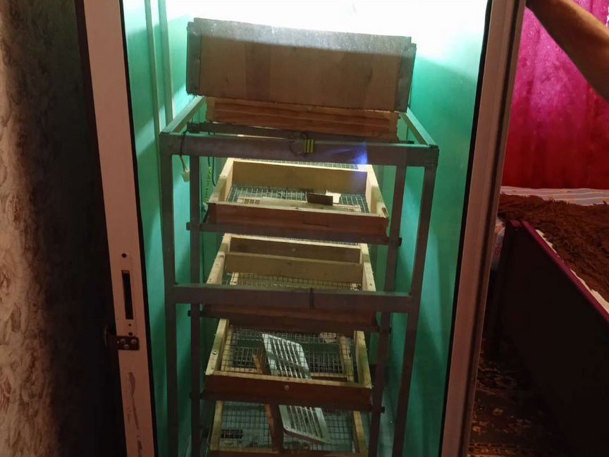 Продам инкубатор